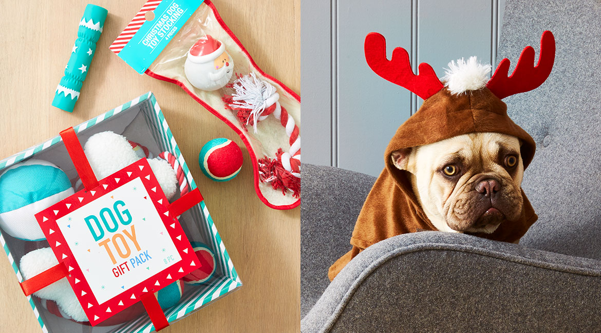 Christmas gifts for pets Kmart