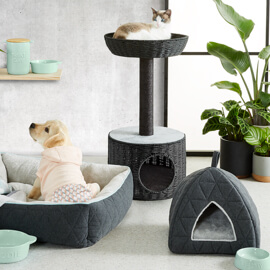 Kmart | Toys, Furniture, Bedding & more - Online Shopping Australia