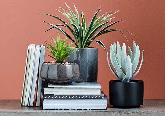 Kmart | Toys, Furniture, Bedding & more - Online Shopping Australia