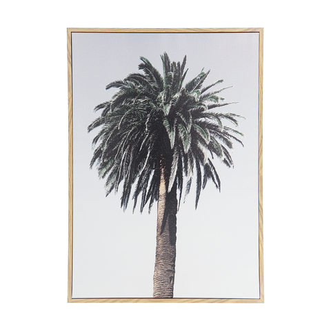 Palm Framed Canvas | Kmart
