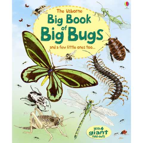 The Usborne Big Book of Big Bugs: And a Few Little Ones Too - Book | Kmart